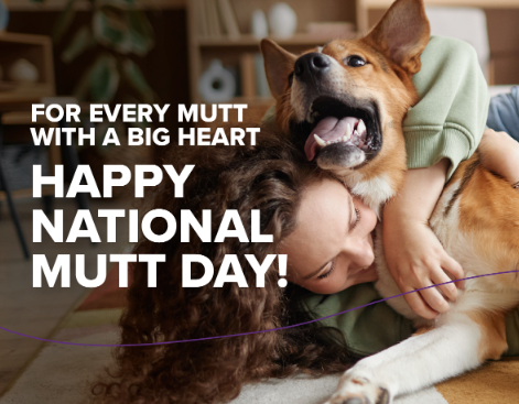 A Day to Celebrate the Uniqueness of Mutts – Visbiome® Vet