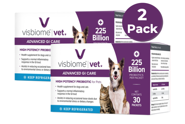 Visbiome Vet Advanced GI Care - Packets - 2 Pack – Visbiome® Vet