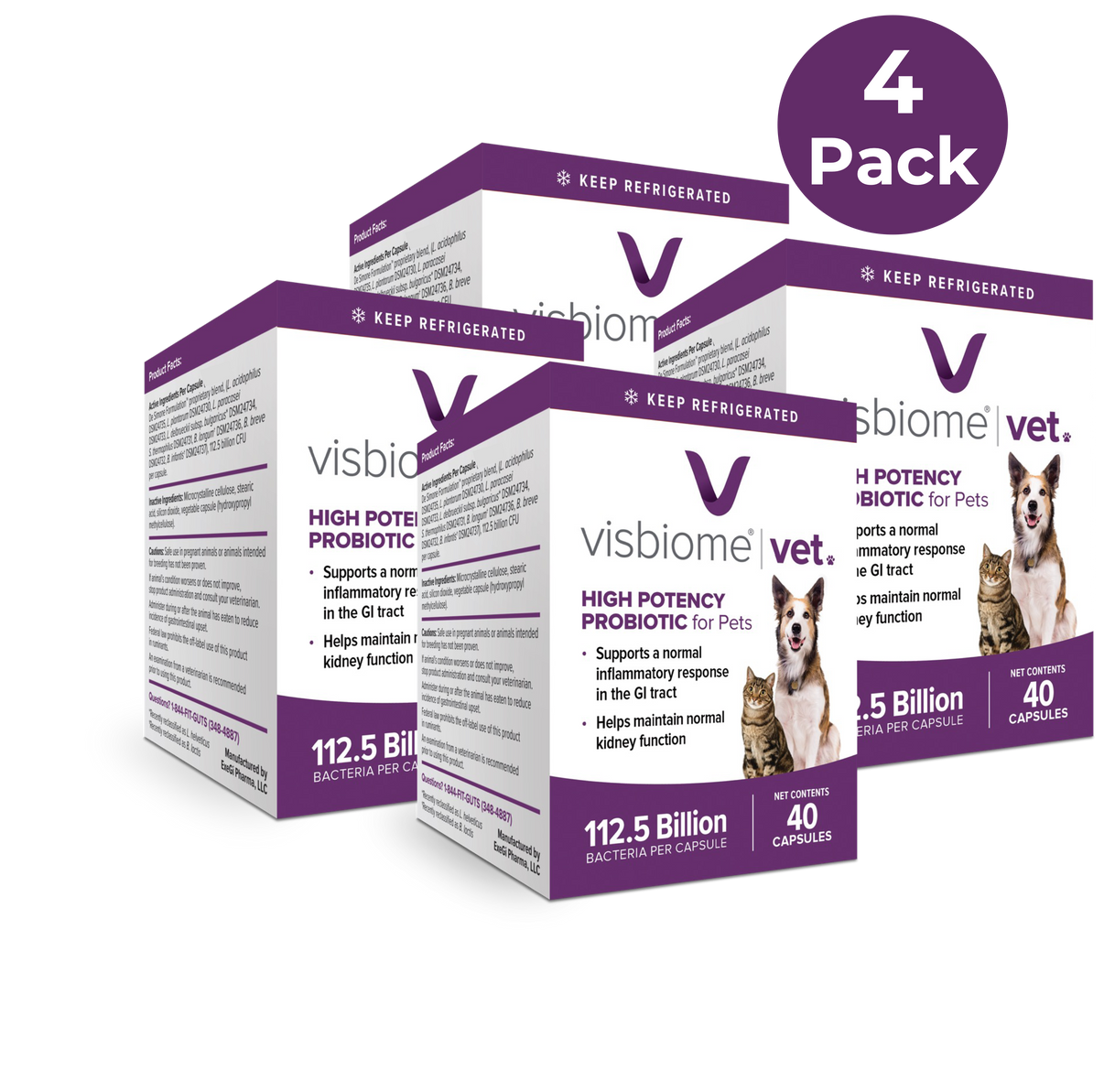 Visbiome Vet - Capsules - 4 Pack – Visbiome® Vet