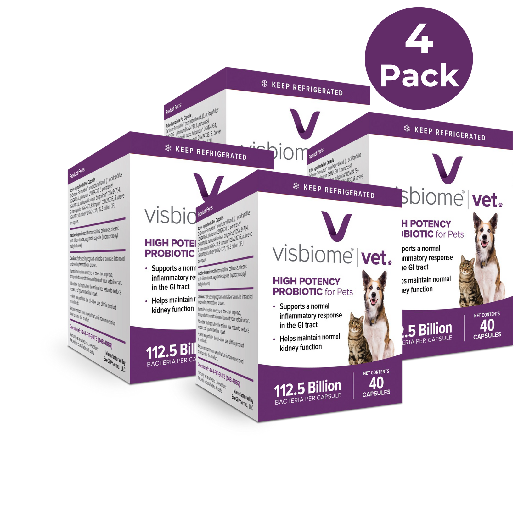 Visbiome Vet - Capsules - 4 Pack – Visbiome® Vet