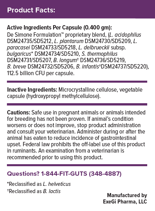 Visbiome Vet - Capsules - 4 Pack – Visbiome® Vet