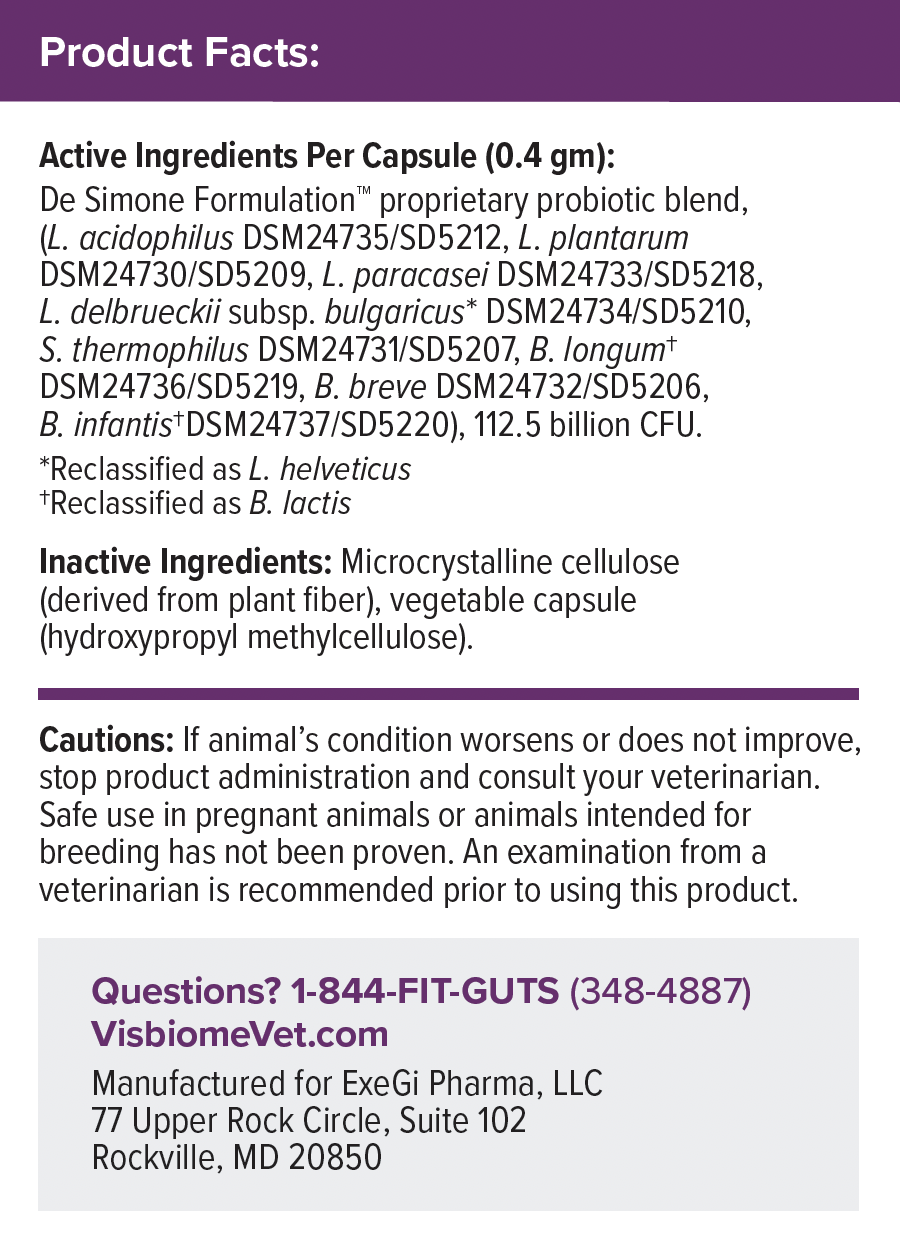 Visbiome Vet Advanced GI Care - Capsules - 4 Pack – Visbiome® Vet