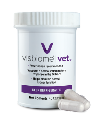 Visbiome Vet - Capsules - 4 Pack – Visbiome® Vet