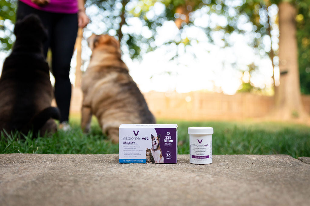 Pet Owners – Visbiome® Vet
