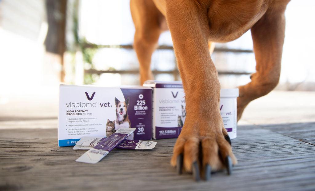 Pet Owners – Visbiome® Vet