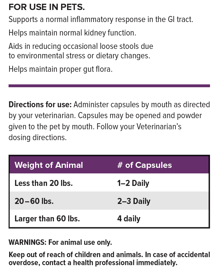 Visbiome Vet - Capsules - 4 Pack – Visbiome® Vet